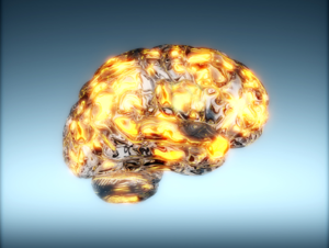 The Glass Brain Video - New York Neurofeedback